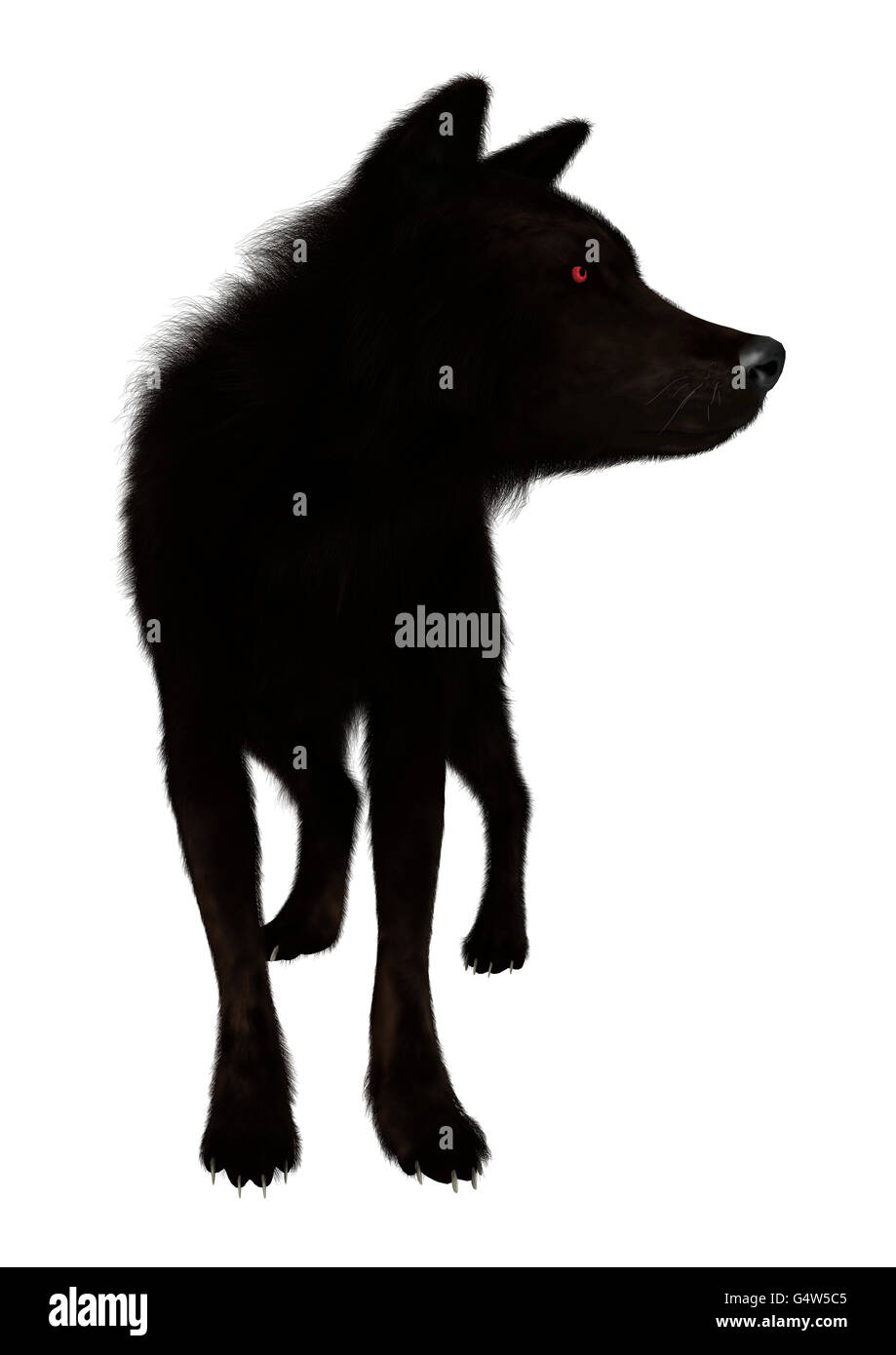 3D rendering of a black wolf isolated on white background Stock Photo ...