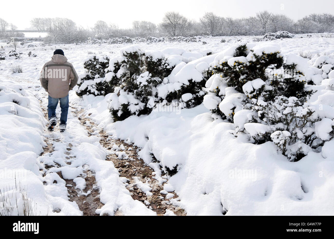 Winter weather Jan 31 Stock Photo - Alamy