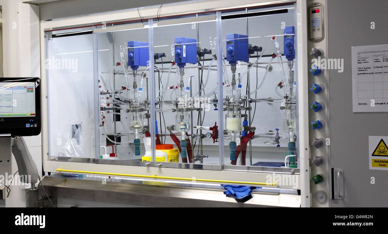 Generic Stock inside the New Etherow Building's Laboratory on the ...