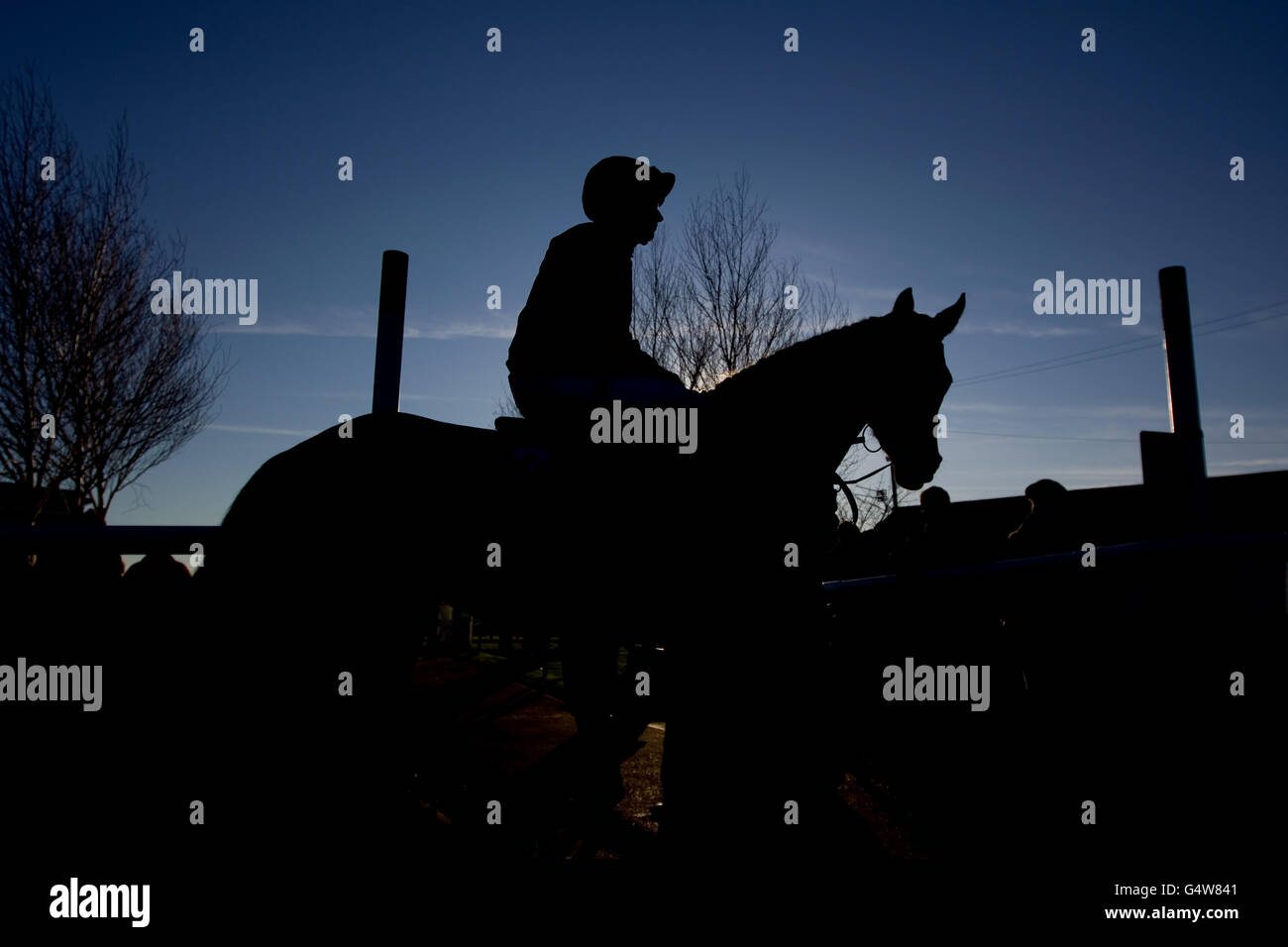 Horse Racing - Catterick Bridge Stock Photo - Alamy
