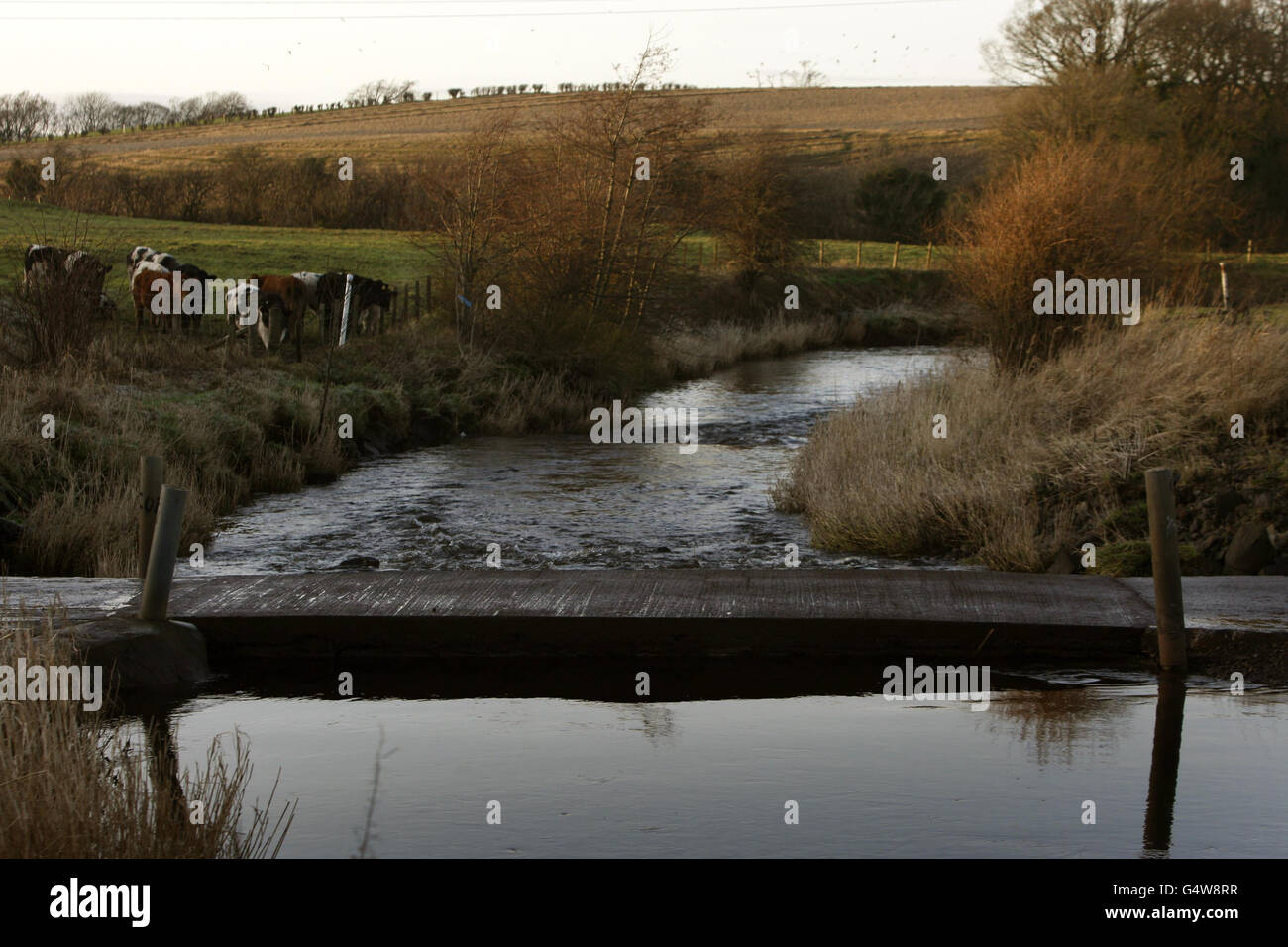 Missing Derek McInulty Stock Photo - Alamy