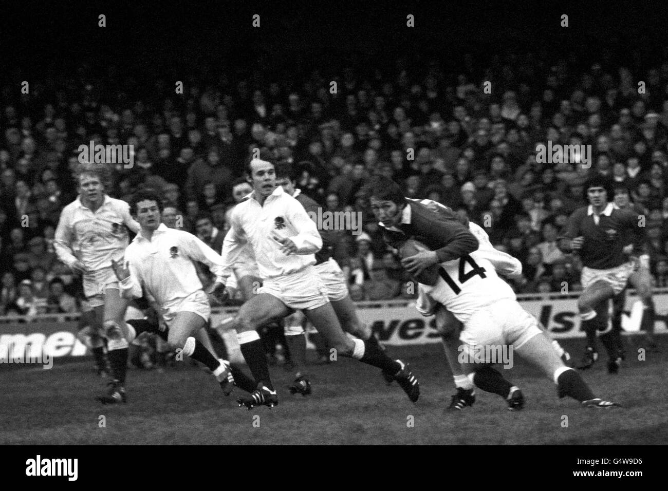 White crowd rugby hi-res stock photography and images - Alamy