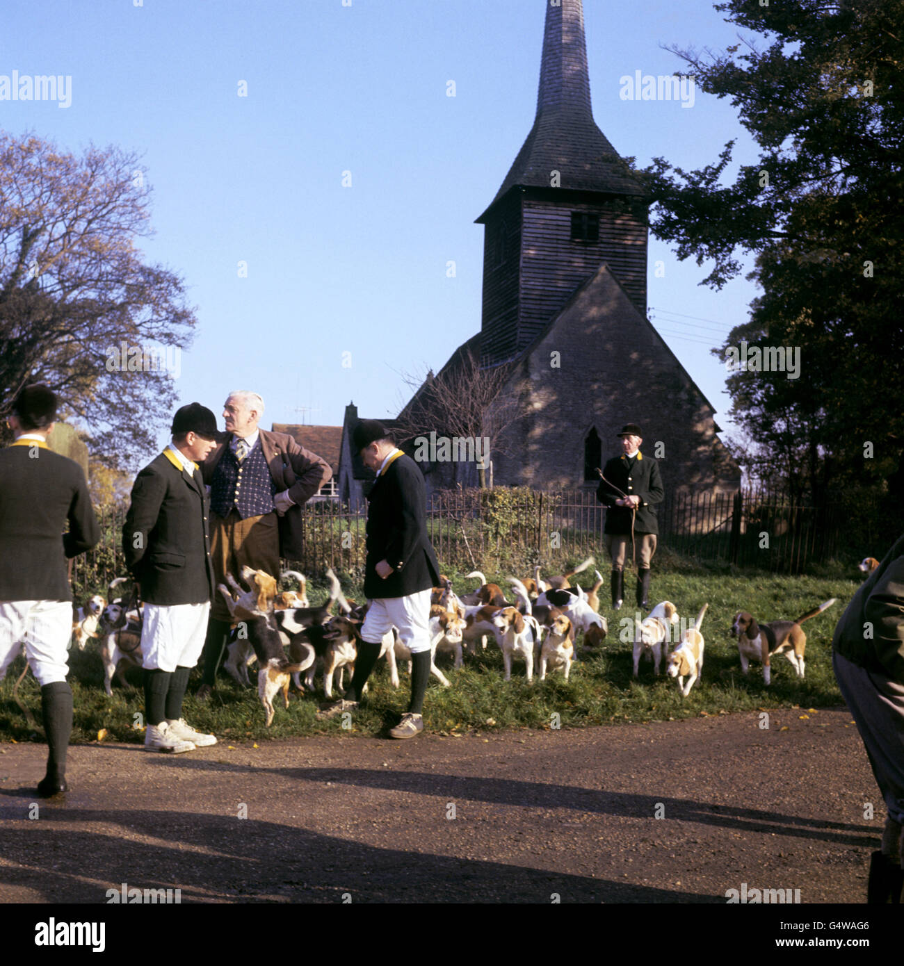 Meet beagles hi-res stock photography and images - Alamy