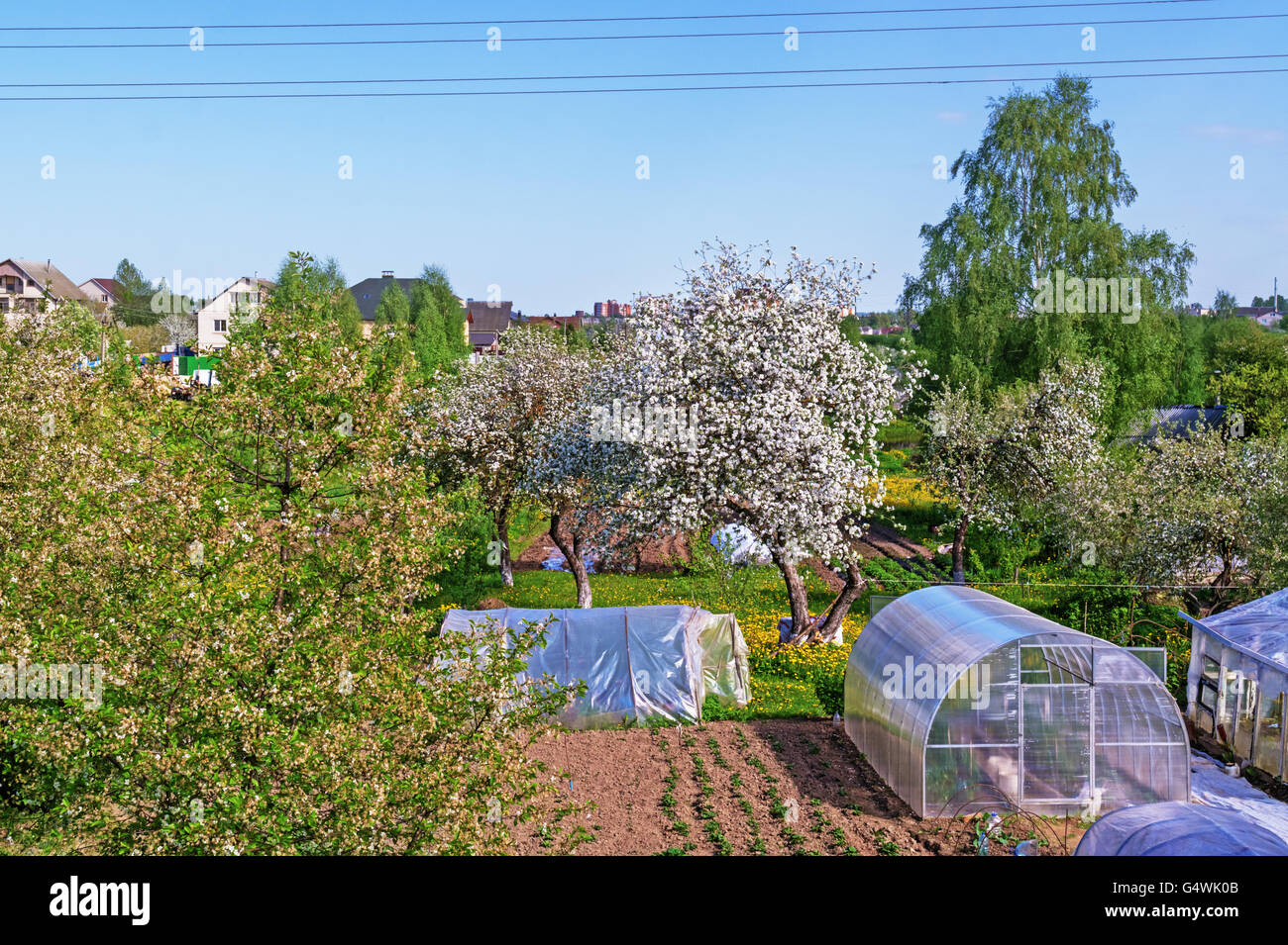 Bench on under apple tree hi-res stock photography and images - Alamy