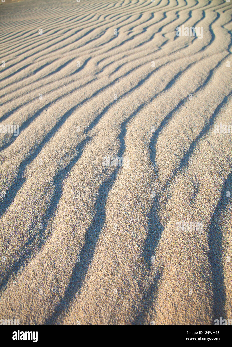 sand and wind pattern on dune surface Stock Photo - Alamy