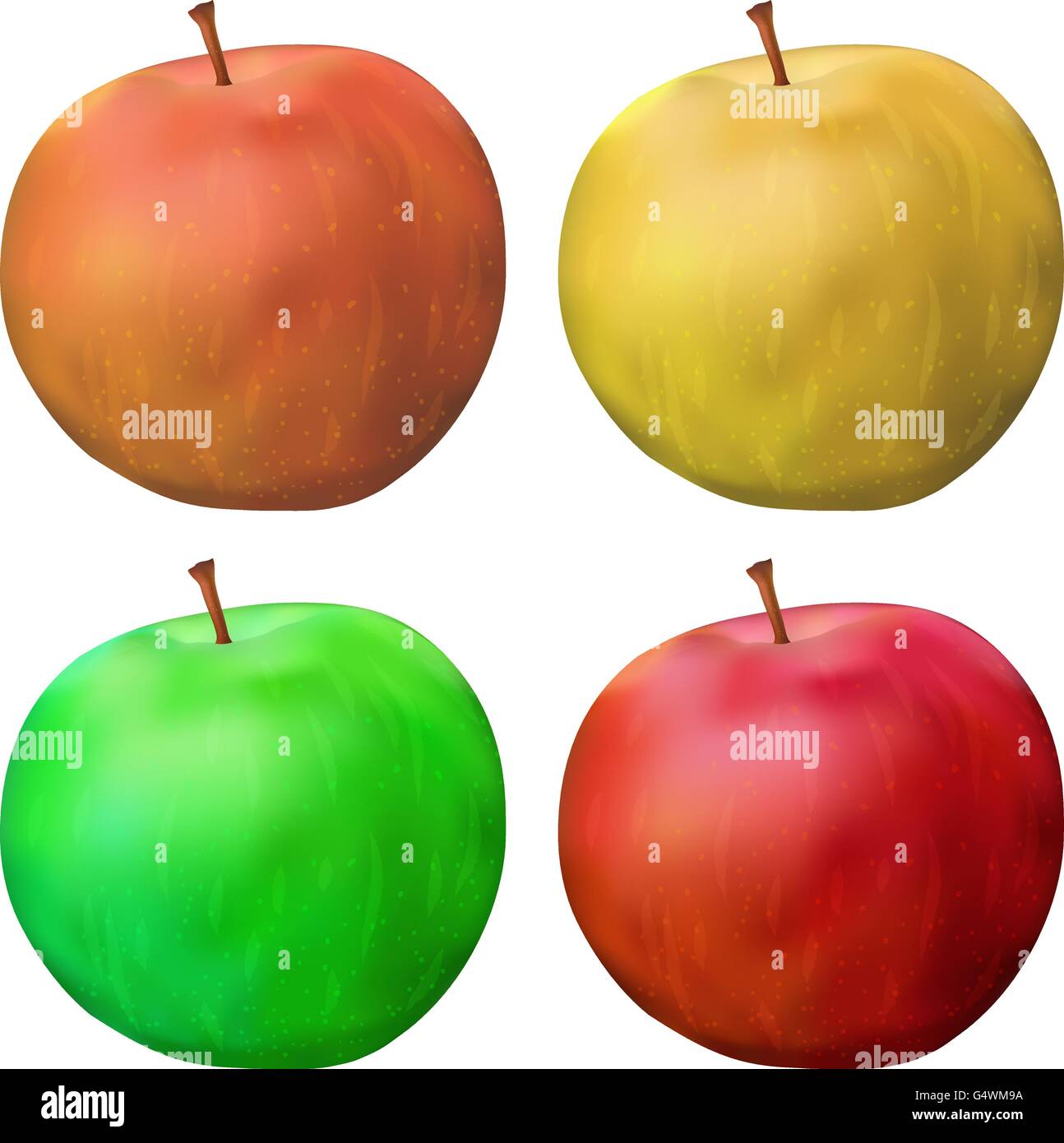 Close up green apple stem Stock Vector Images - Alamy
