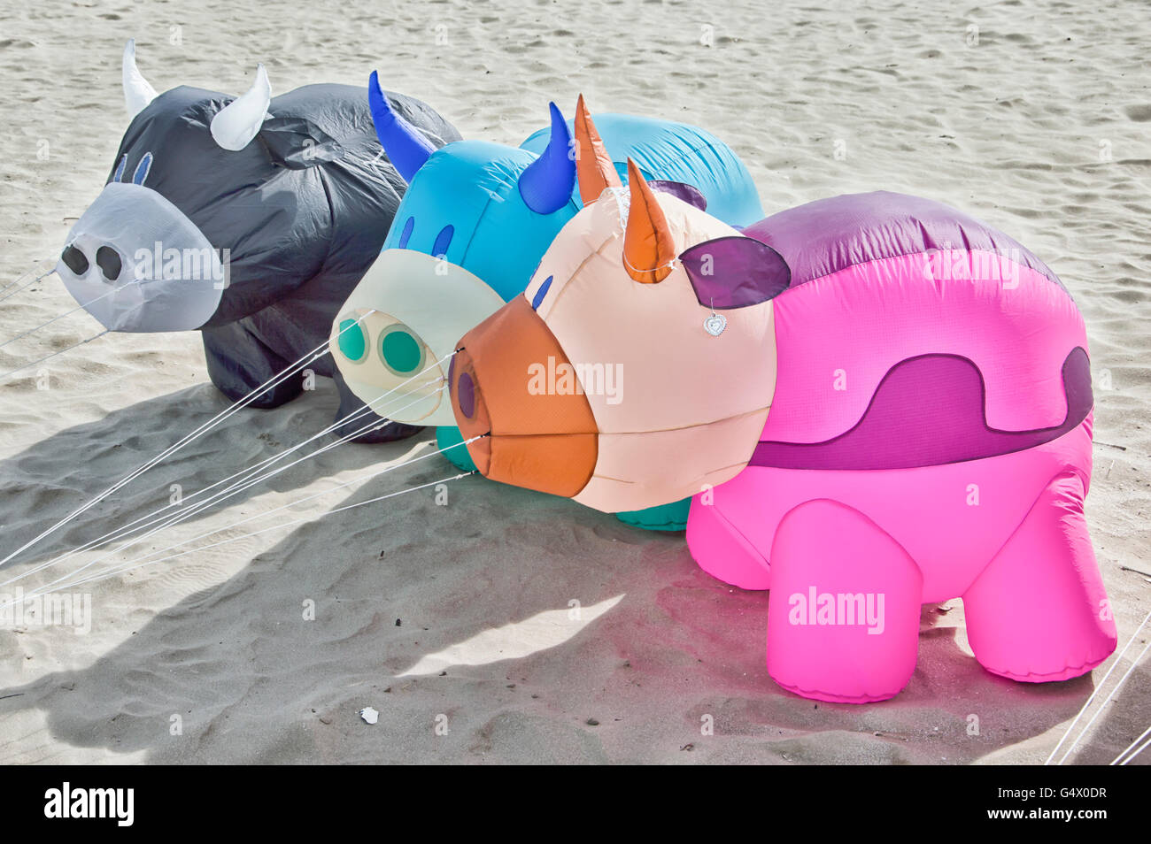 Inflatable cows in a festival Stock Photo - Alamy