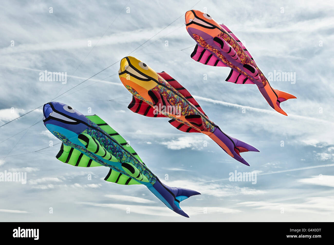 Windsock fish hi-res stock photography and images - Alamy