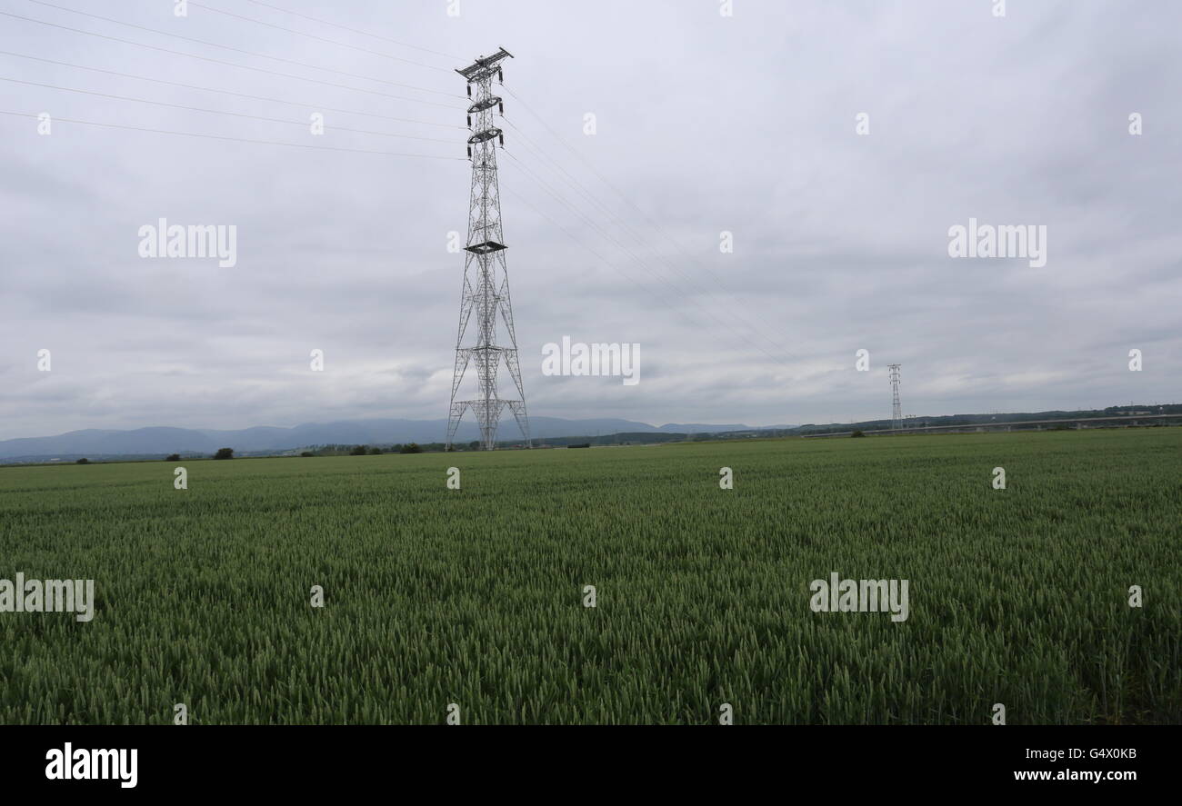 Pylons of the 400kV Forth Crossing the tallest electricity pylons in ...