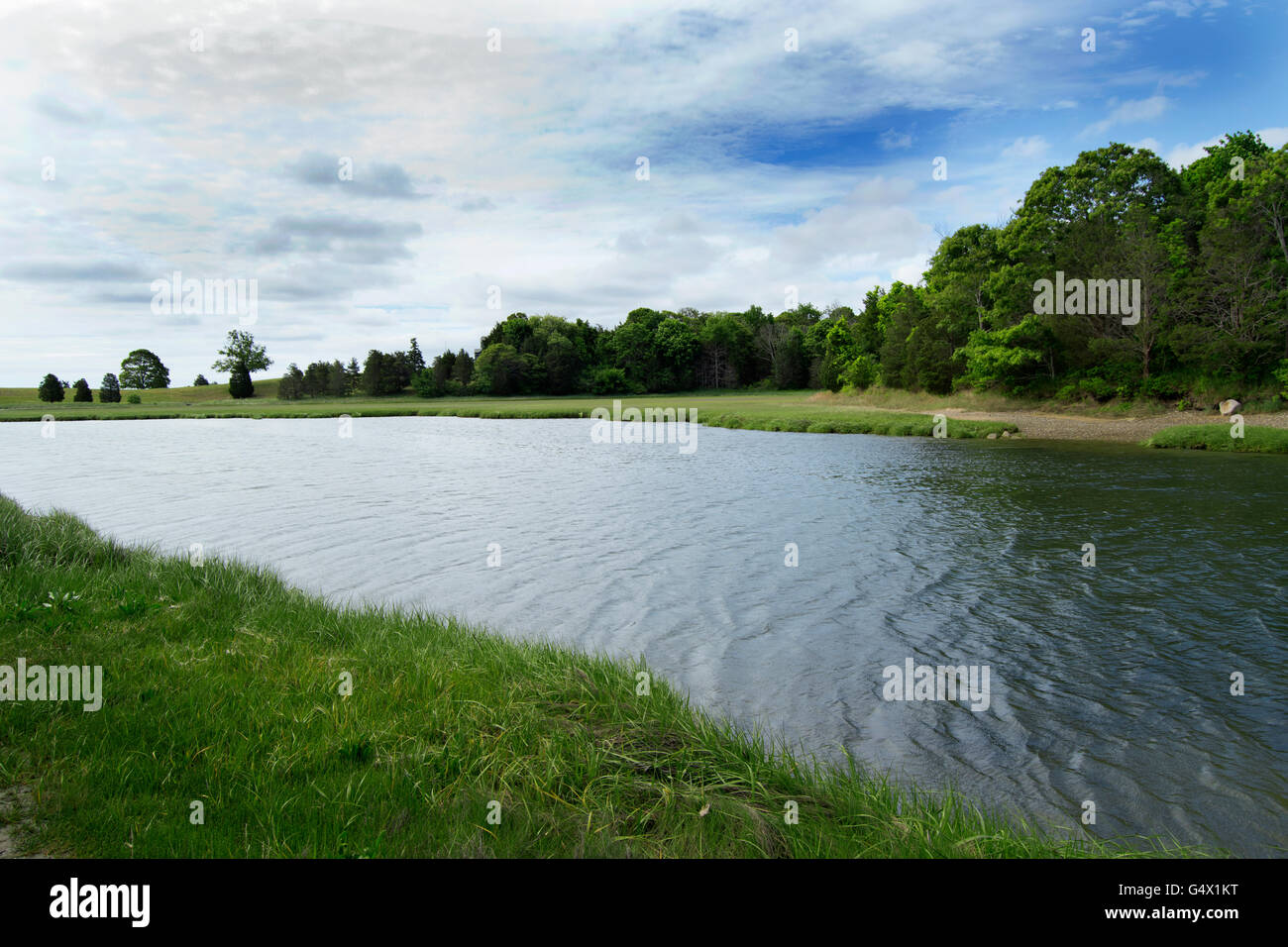 Cape cod national seashore flowers hi-res stock photography and images ...
