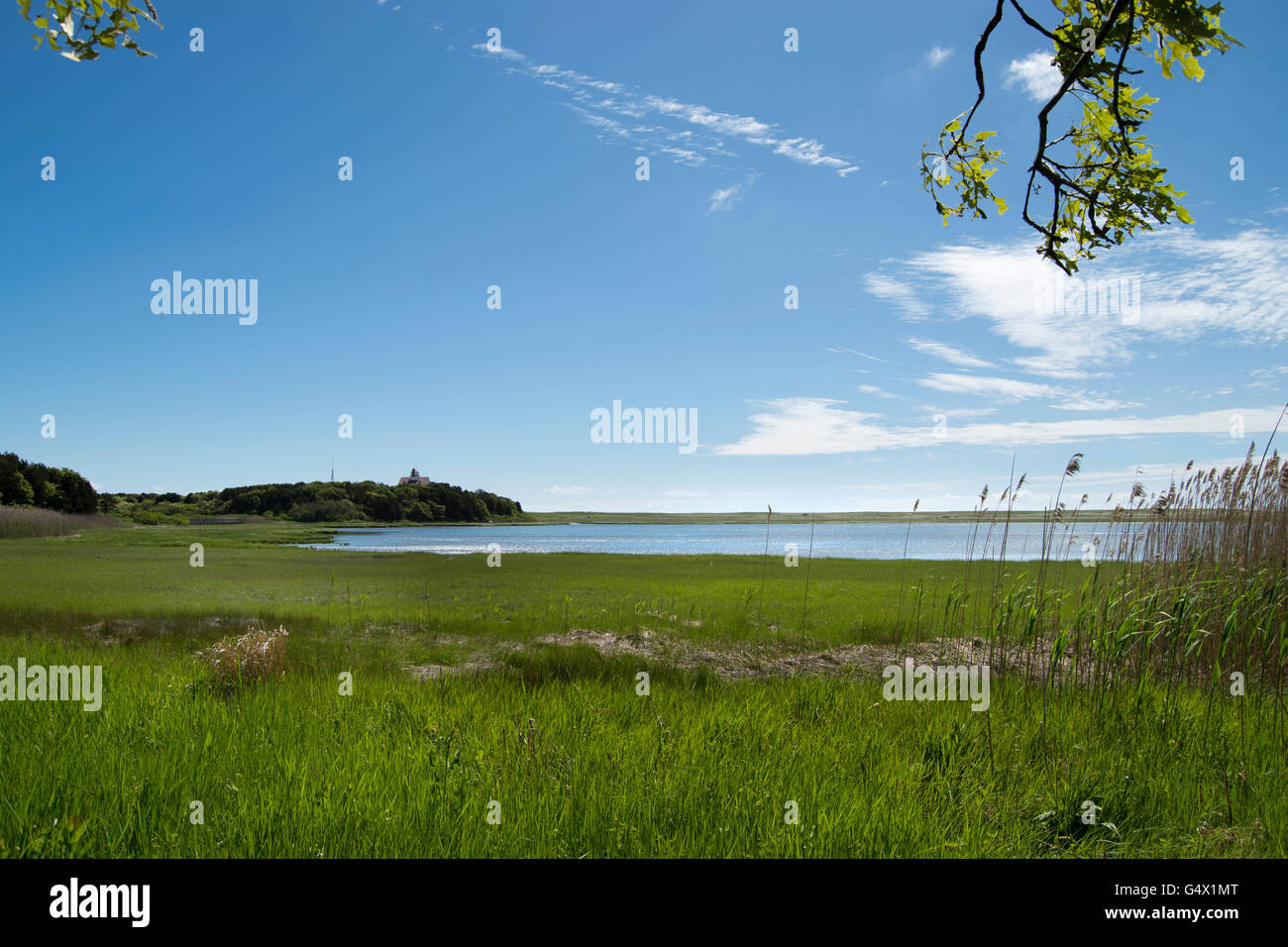 Cape cod massachusetts salt pond hi-res stock photography and images ...