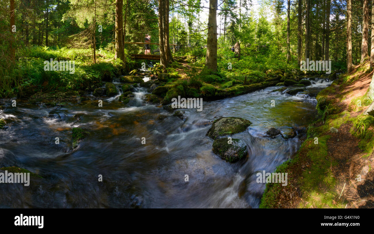 creek, Nationalpark Bayerischer Wald, Bavarian Forest National Park ...