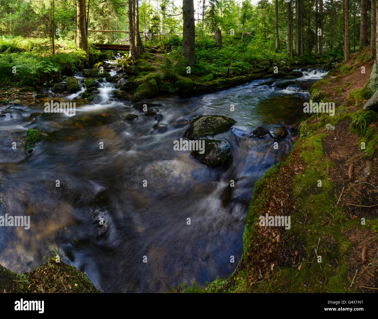 creek, Nationalpark Bayerischer Wald, Bavarian Forest National Park ...