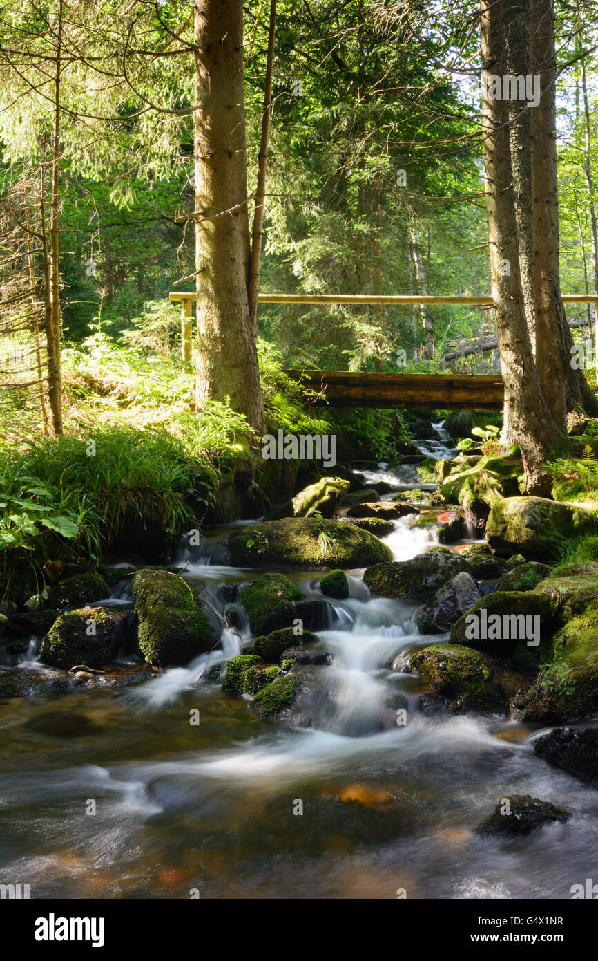 creek, Nationalpark Bayerischer Wald, Bavarian Forest National Park ...