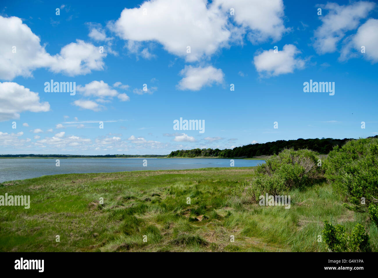 Cape cod massachusetts salt pond hi-res stock photography and images ...