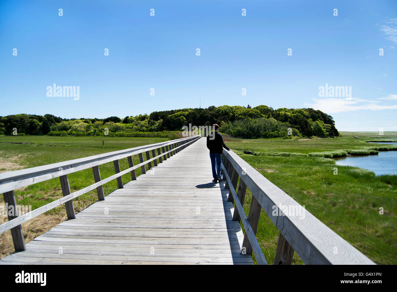 Marsh grass cape cod hi-res stock photography and images - Alamy