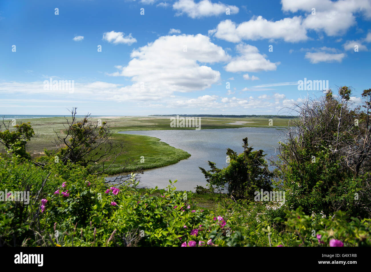 Pink salt pond hi-res stock photography and images - Alamy