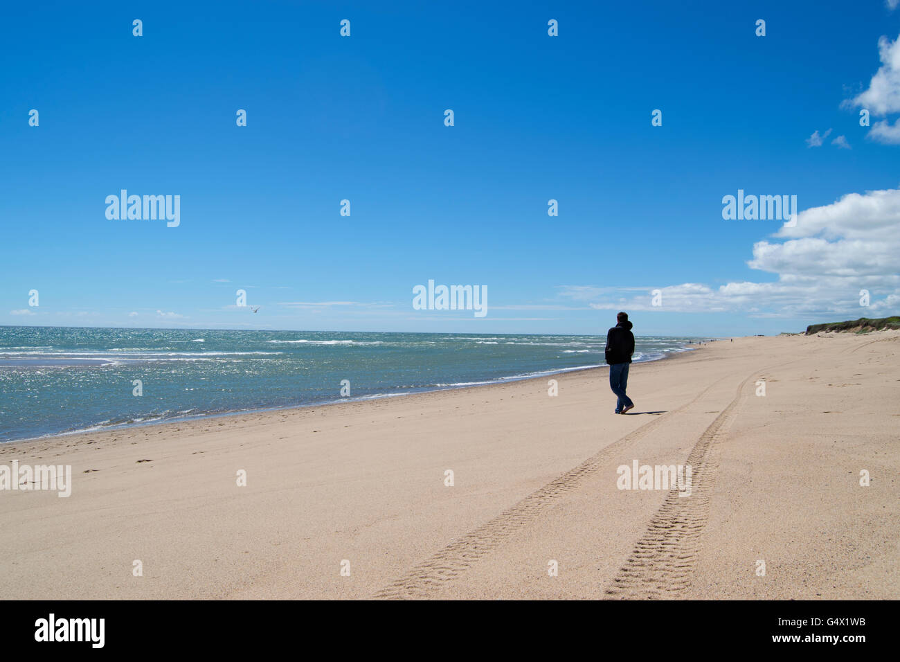 Cape cod beach hi-res stock photography and images - Alamy