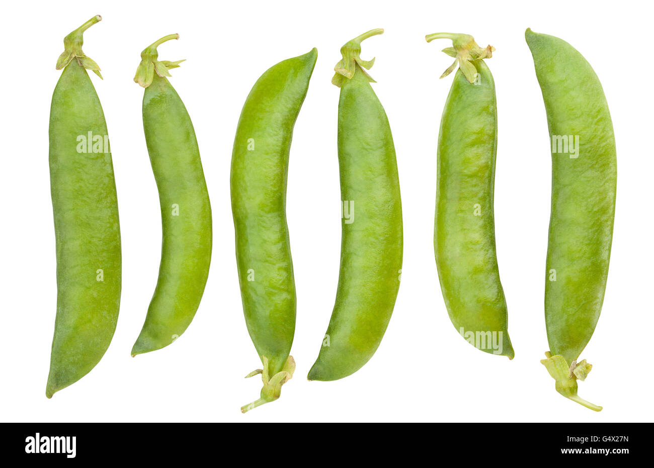 peas in a pod isolated Stock Photo - Alamy