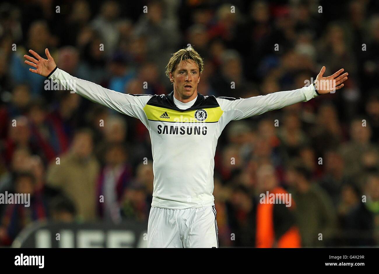Fernando Torres Chelsea Goal
