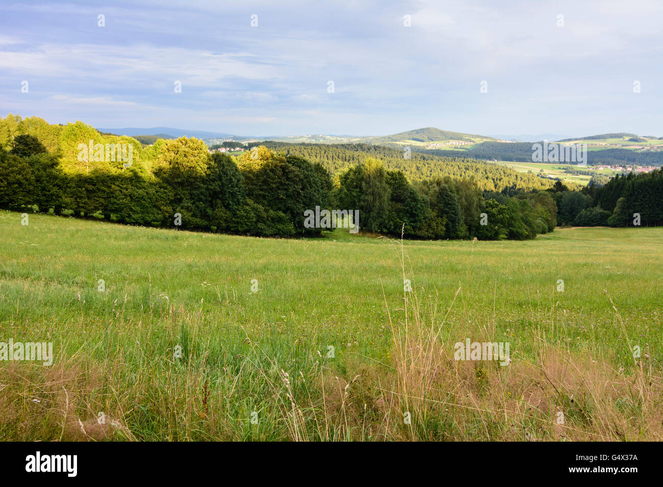 Nature park bavarian forest hi-res stock photography and images - Alamy