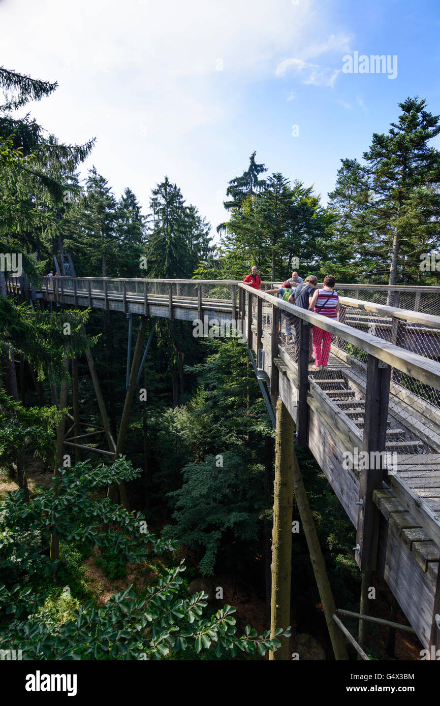 Canopy park hi-res stock photography and images - Alamy