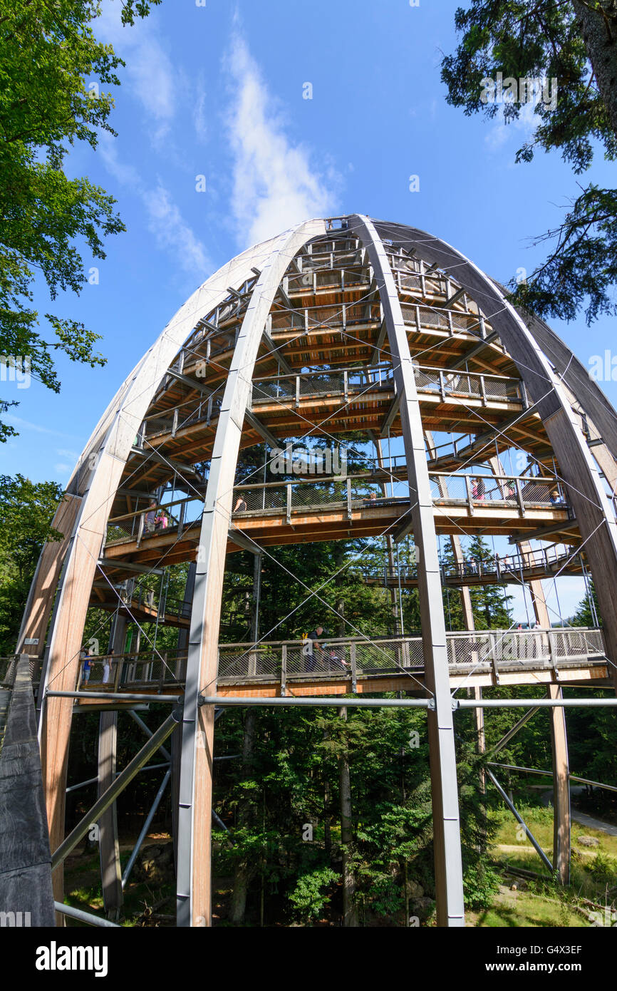 obervation tower "tree tower" at canopy pathway at National Park ...