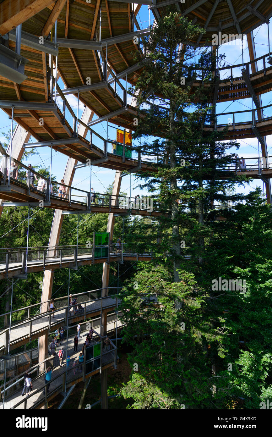 obervation tower "tree tower" at canopy pathway at National Park ...