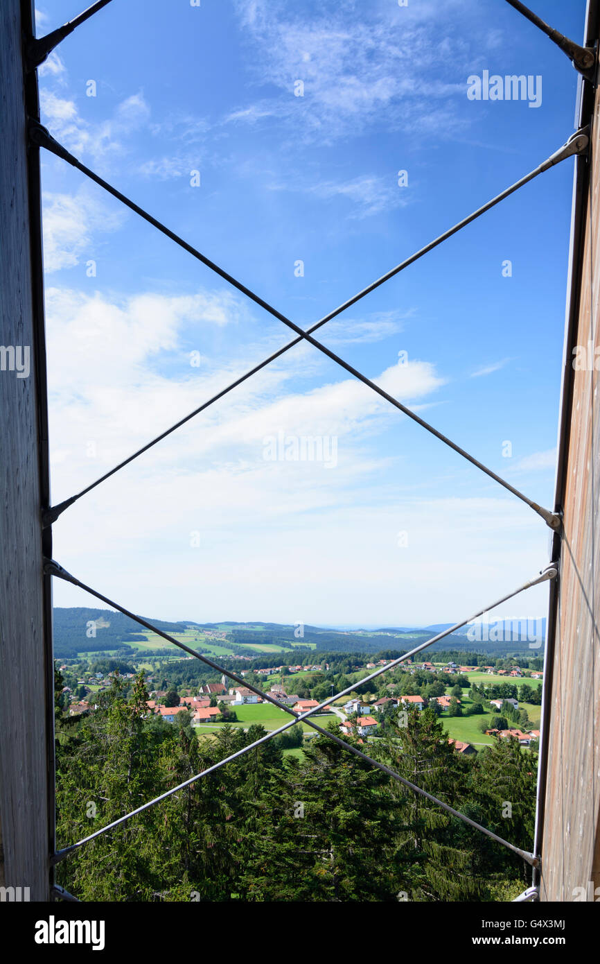 Canopy from tree hi-res stock photography and images - Alamy
