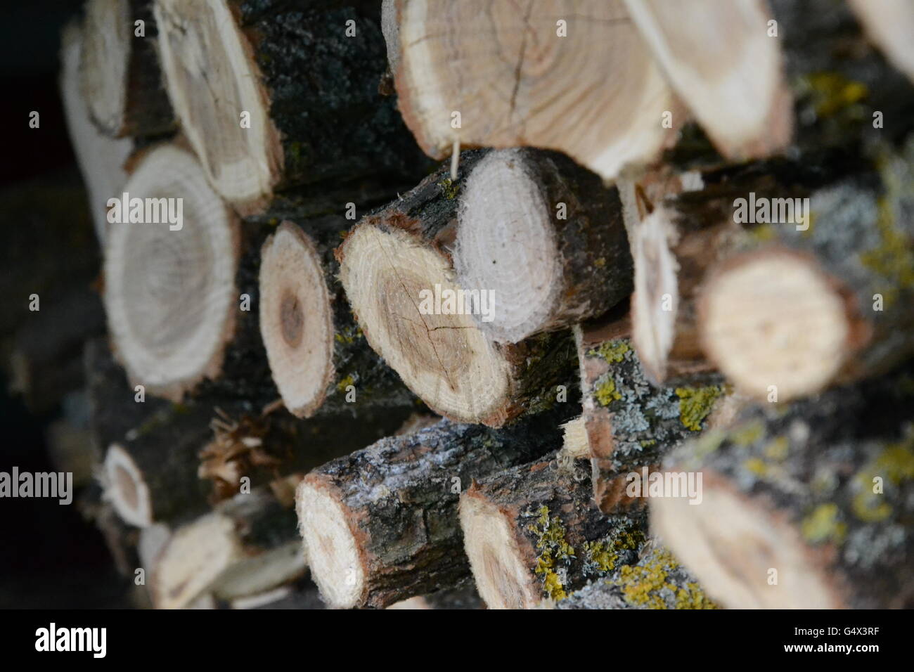Photograph of the stacked wood Stock Photo - Alamy