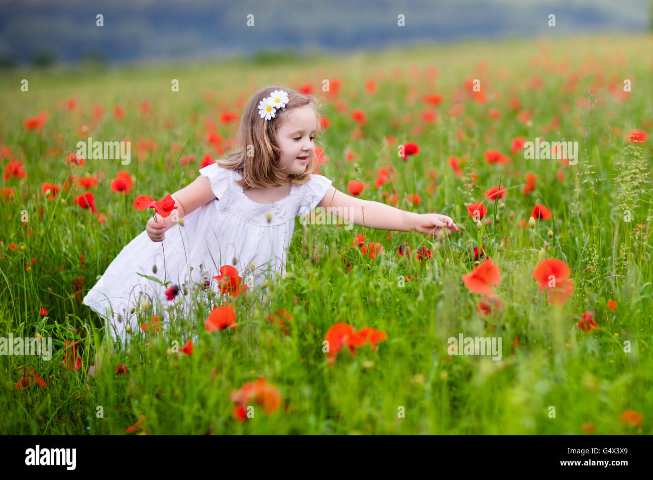 Adorable little girl in white dress playing in poppy flower field ...