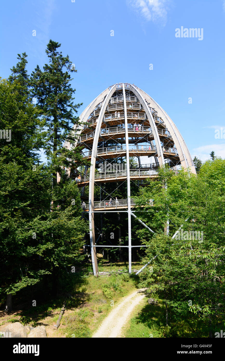 obervation tower "tree tower" at canopy pathway at National Park ...