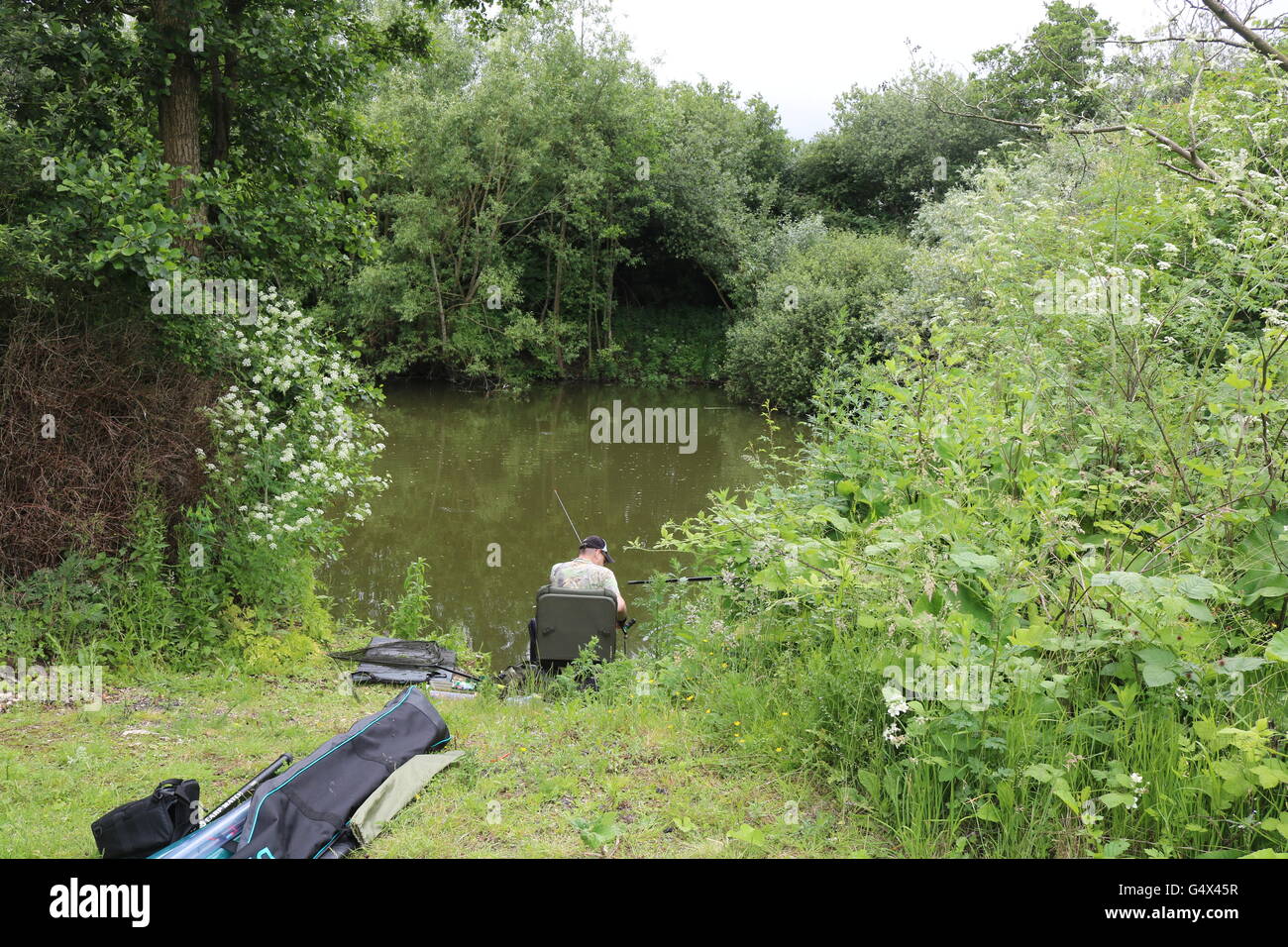 A coarse angler fishing a former gravel pit near Reading, Berkshire ...