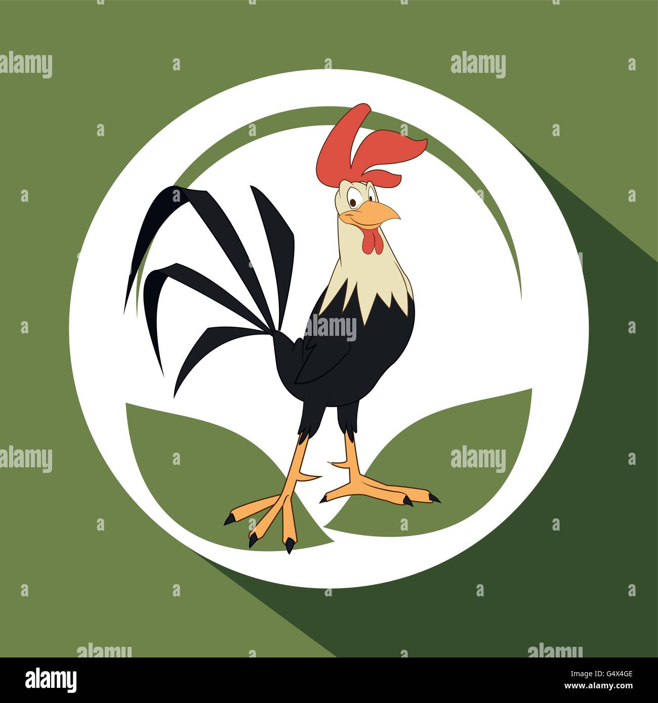 Animal design. rooster icon. Isolated illustration, white backgr Stock ...