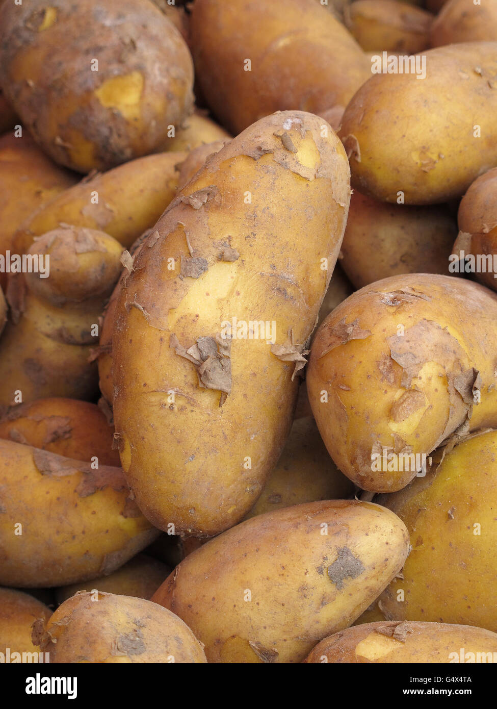 Many potatoes on a farmer's market Stock Photo - Alamy