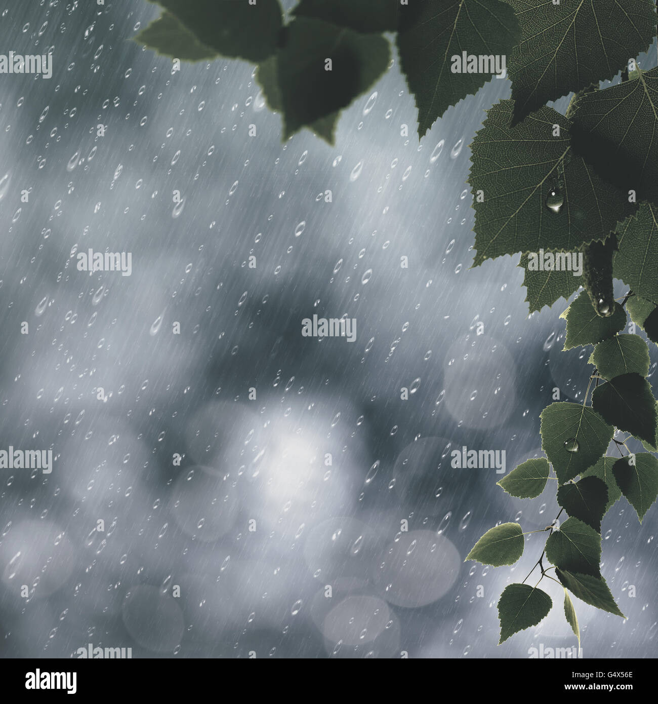 Summer rain abstract seasonal backgrounds Stock Photo - Alamy