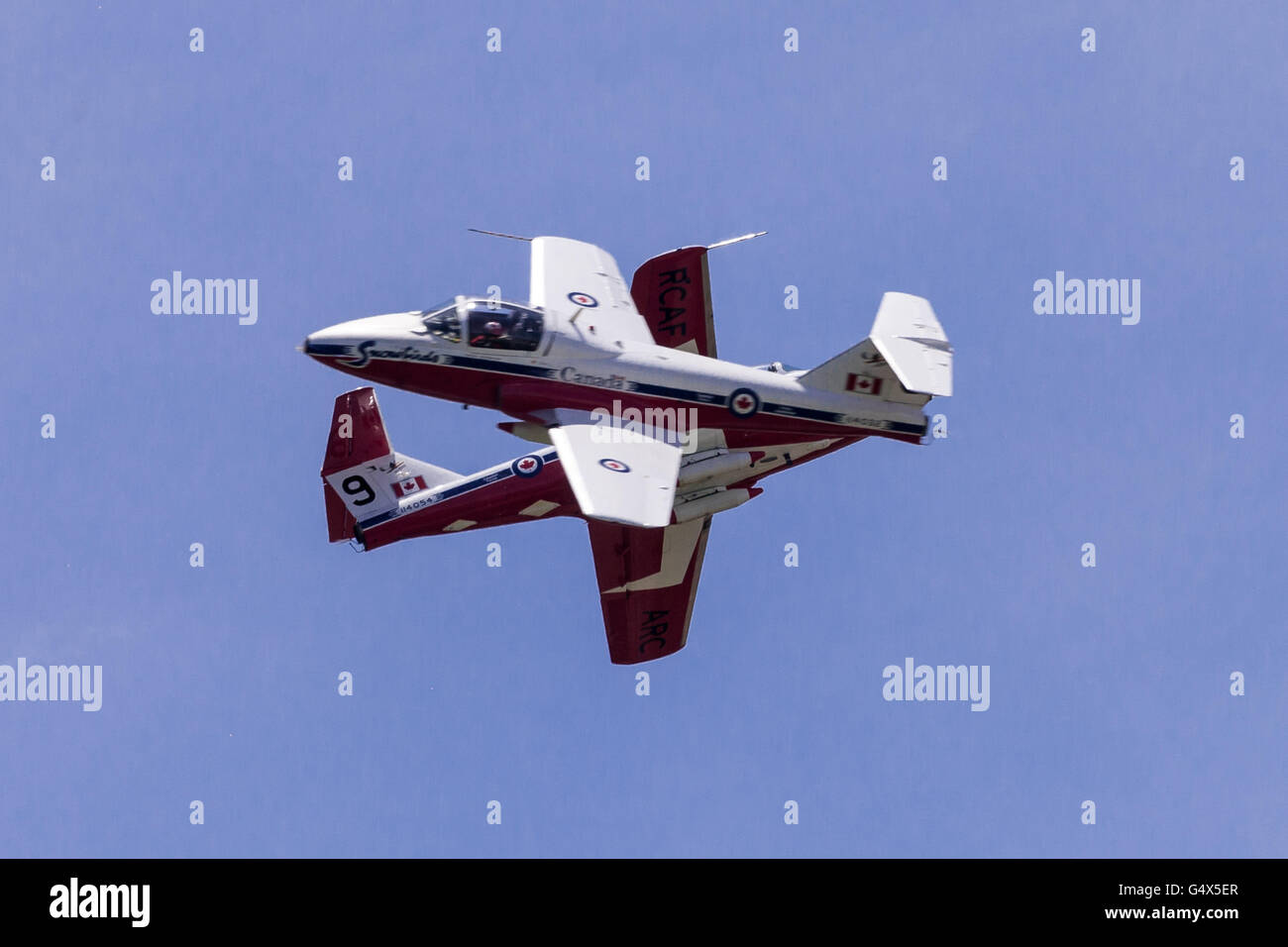 The RCAF 431 Air Demonstration Squardron - The Snowbirds - fly their ...