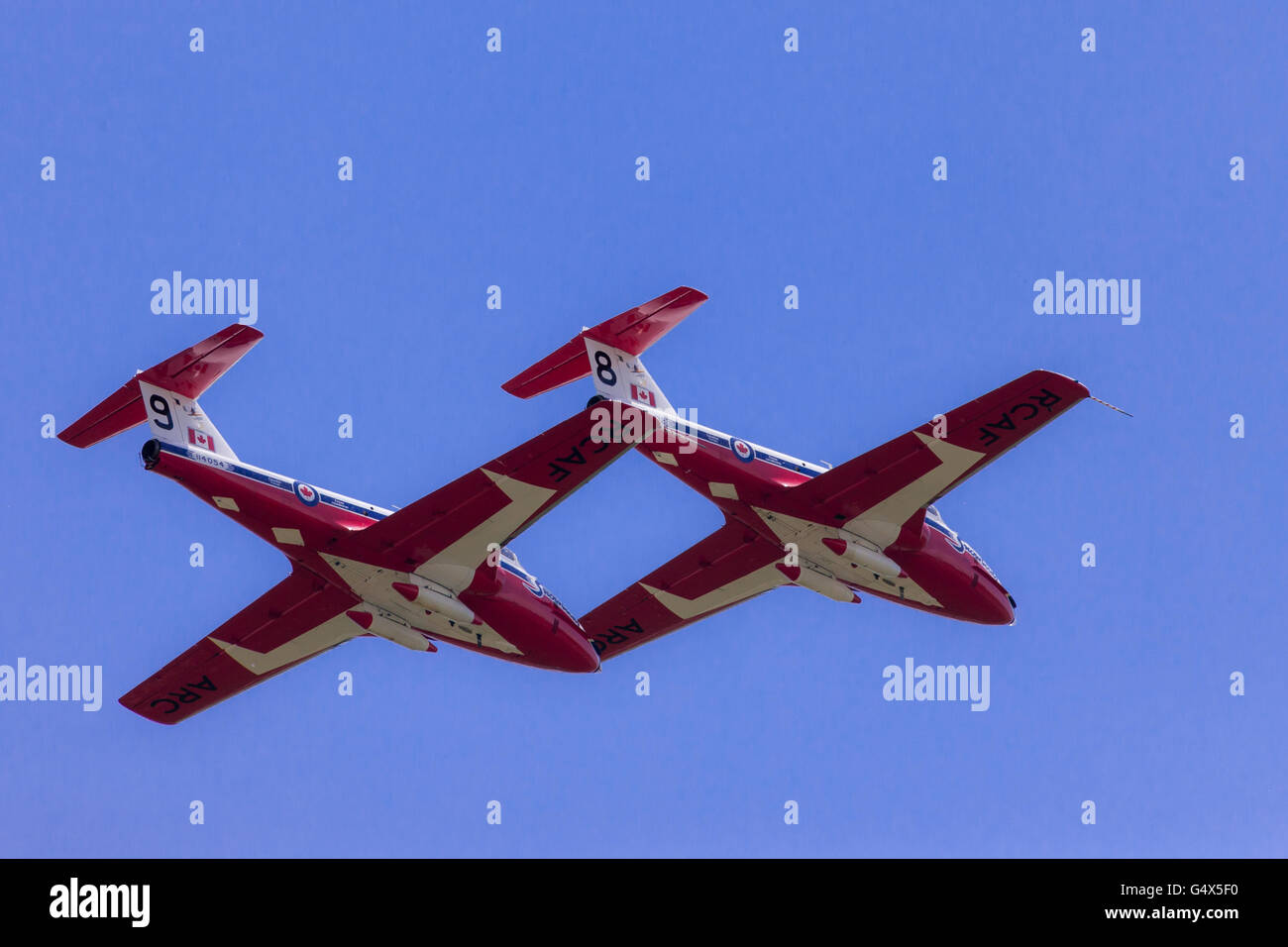 The RCAF 431 Air Demonstration Squardron - The Snowbirds - fly their ...
