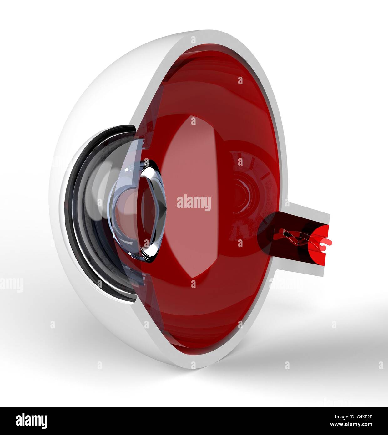 Eye anatomy hi-res stock photography and images - Alamy