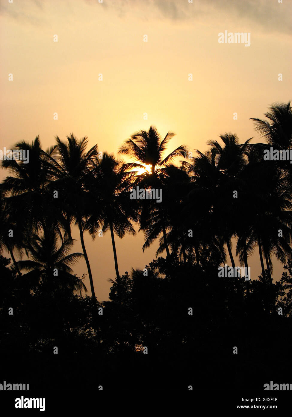 TRopical Sunset in India Stock Photo - Alamy