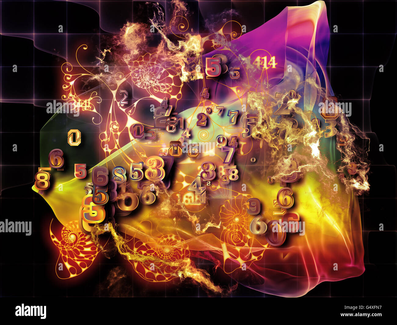 When Numbers Dream series. Interplay of fractals, natural forms and ...