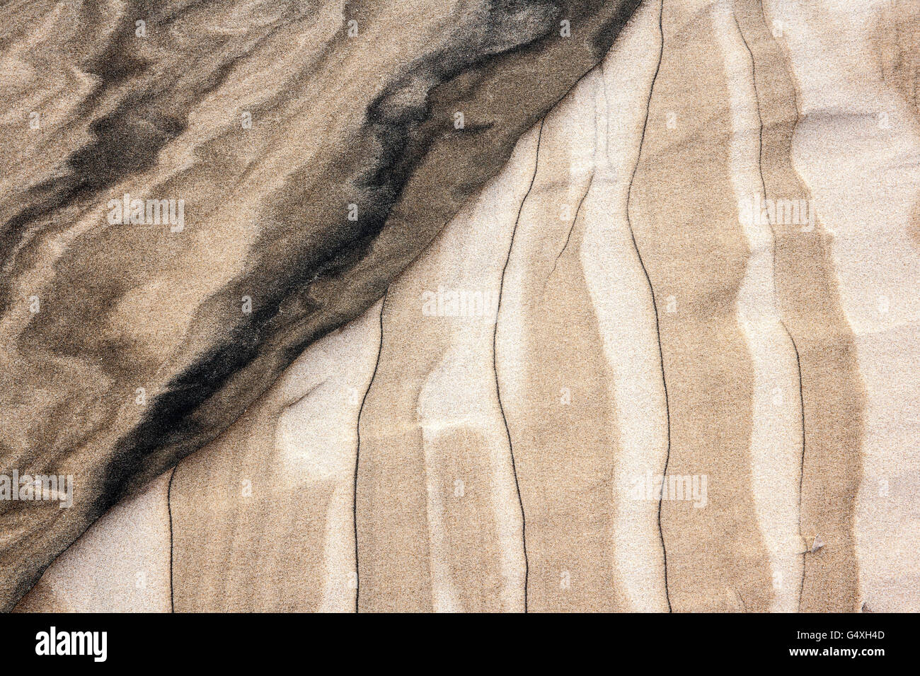 Abstract dune patterns on South Padre Island, Texas, USA Stock Photo ...