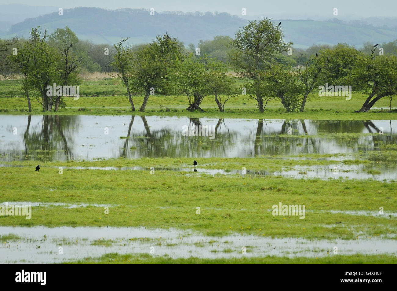 Wettest spring england hi-res stock photography and images - Alamy