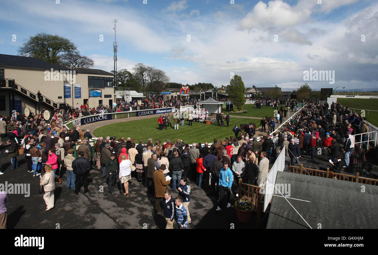 Horse Racing - Newbridge Community Race Day - The Curragh. A general ...