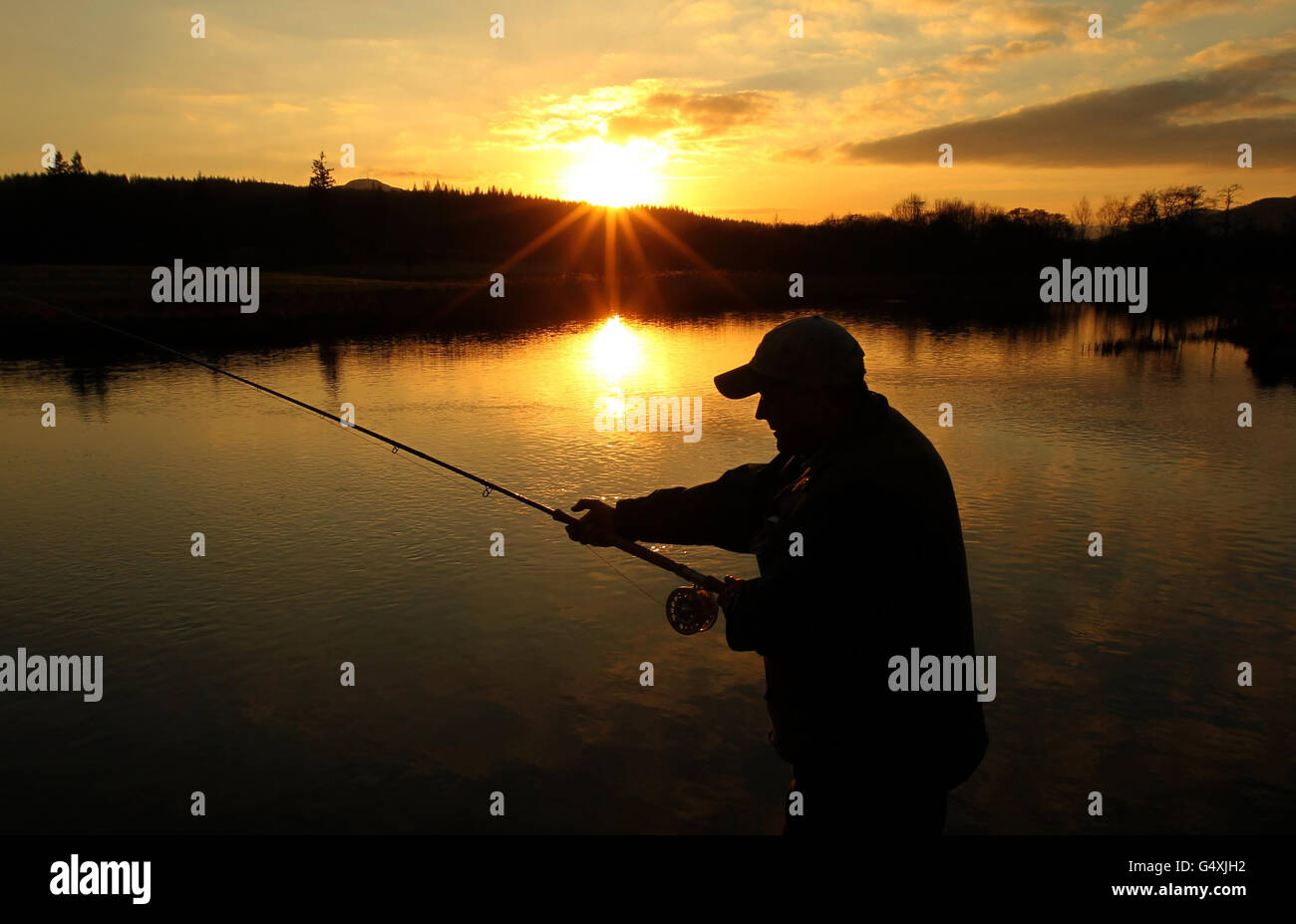 Doig day hi-res stock photography and images - Alamy