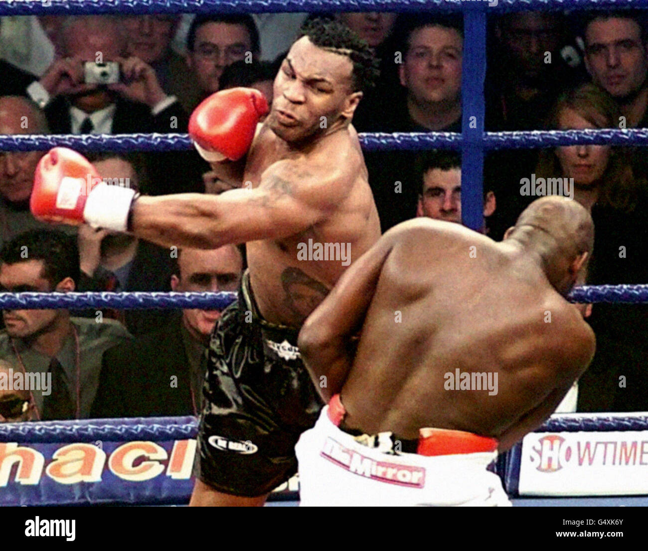 Mike Tyson Punch