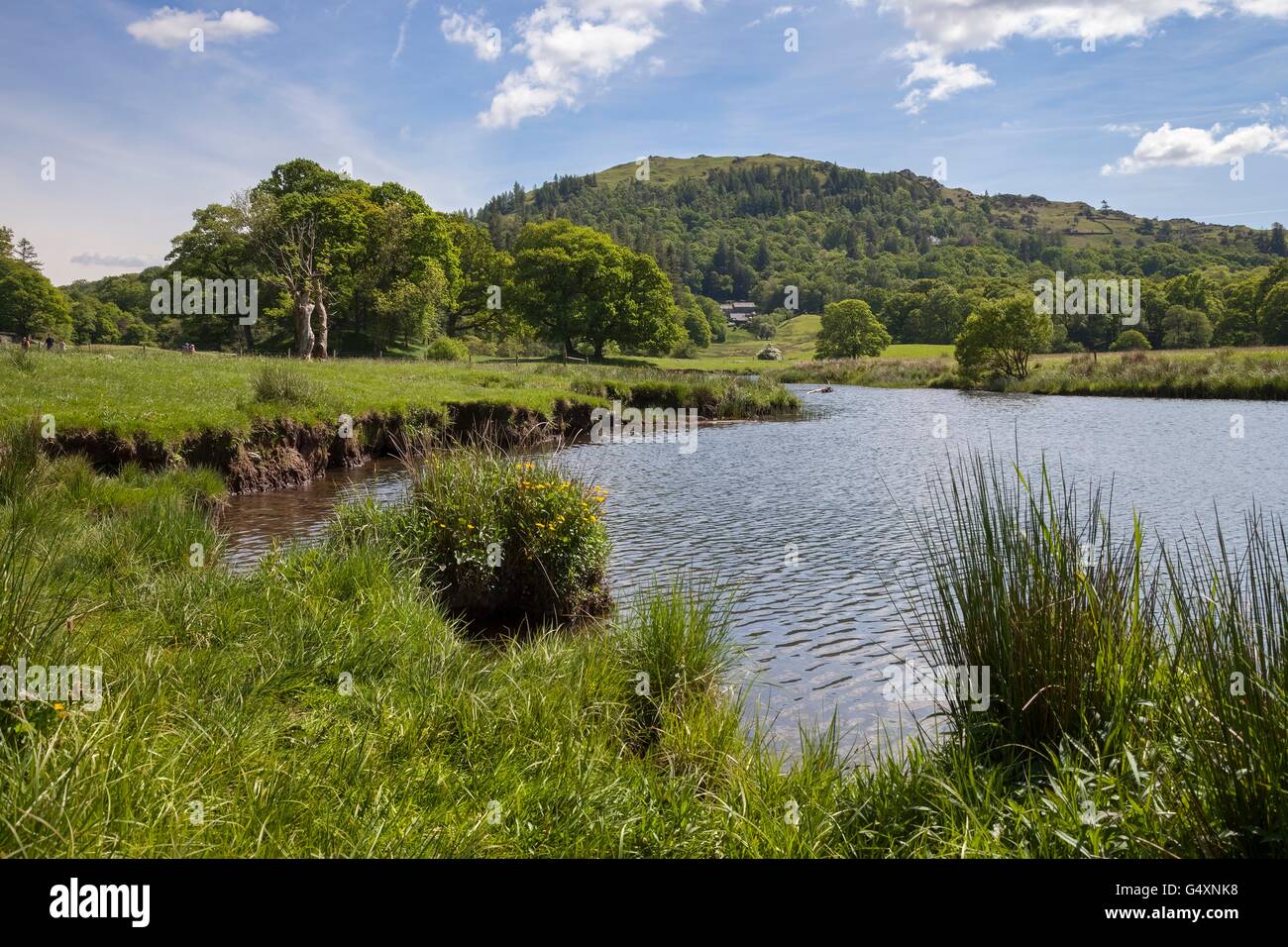 Elterwater, The Lake District, Cumbria, England Stock Photo - Alamy