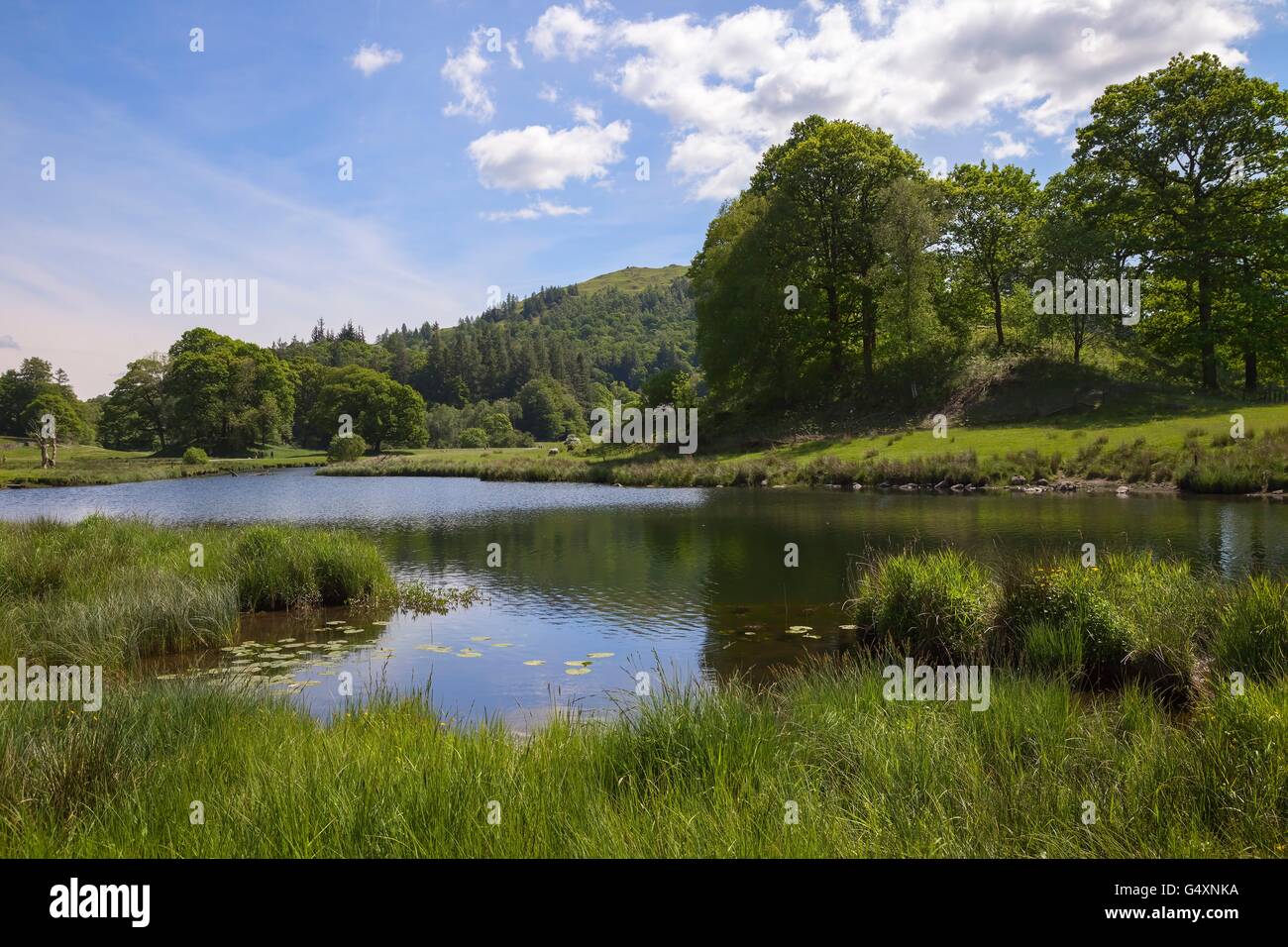 Elterwater hi-res stock photography and images - Alamy