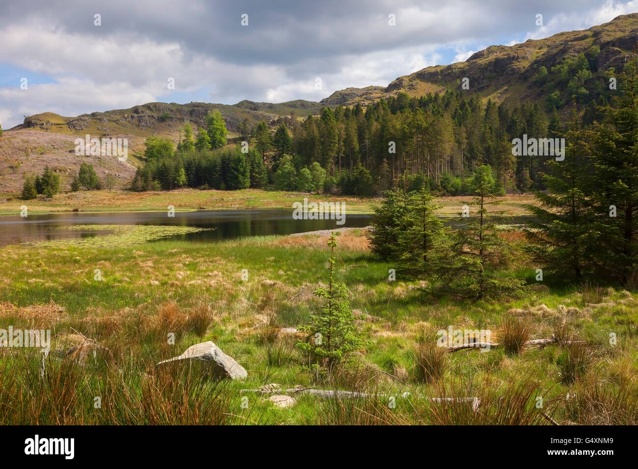 Harrop tarn hi-res stock photography and images - Alamy