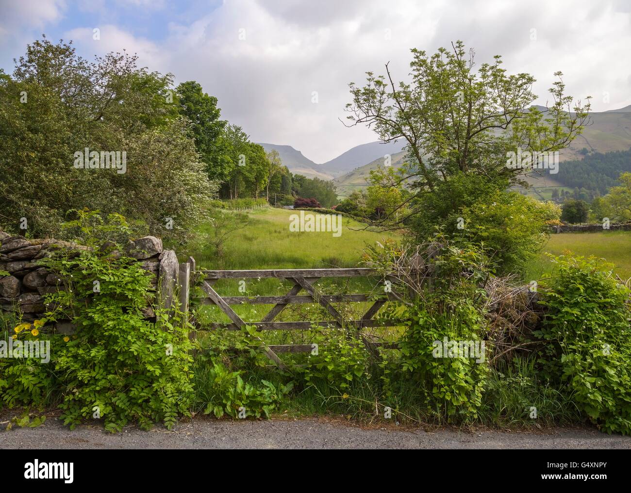 Pretty view with farm gate, Grasmere, The Lake District, Cumbria ...